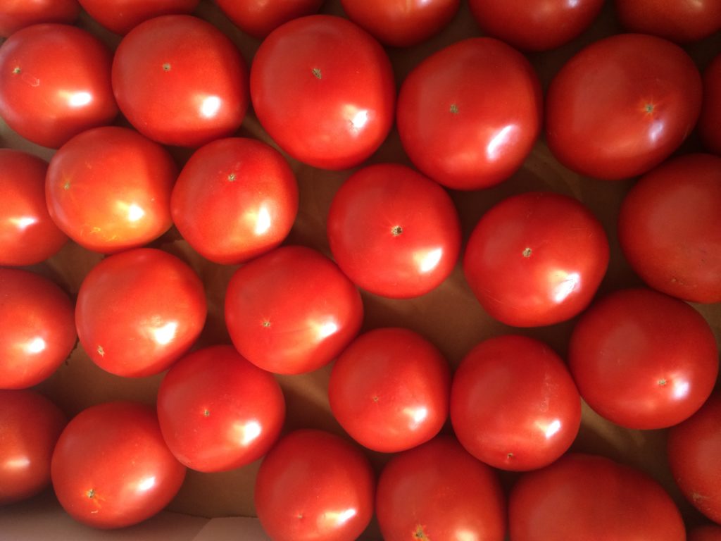 8 Ways to Use Up Lots of Tomatoes - Shared Legacy Farms