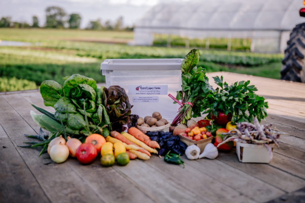 How to Find a CSA in Your Area | Shared Legacy Farms