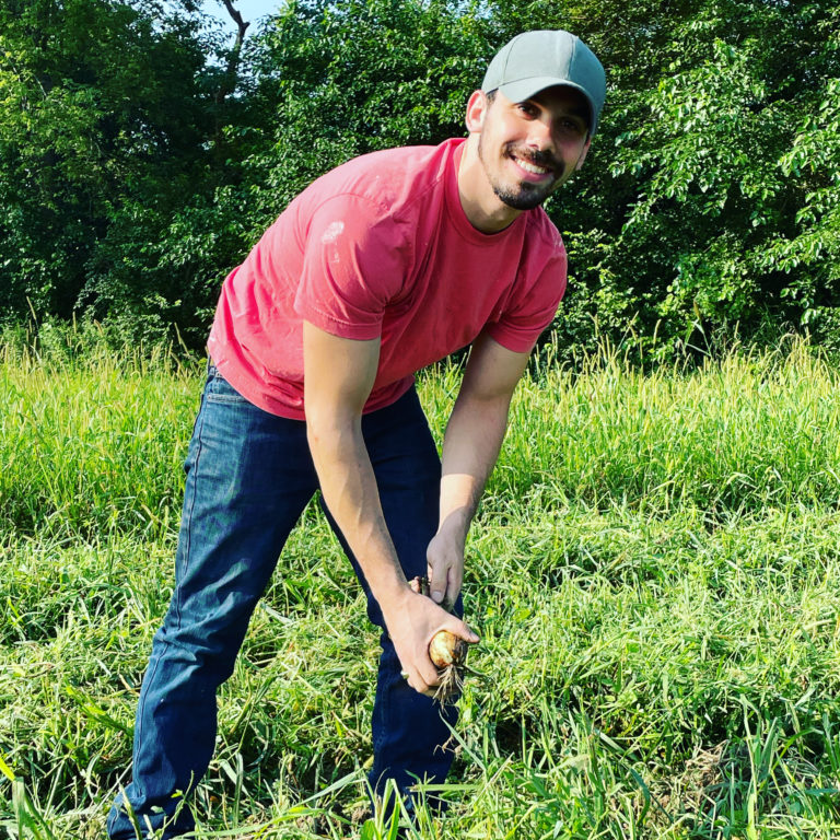 How Does A CSA Work? (Understanding Community Supported Agriculture ...