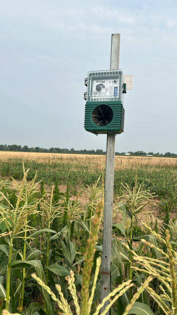 Meet Charlie, Our Electronic Scarecrow - Shared Legacy Farms